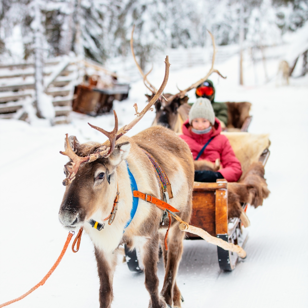 Elfo Experience, Helsinki, Rovaniemi y Salla - Madox Viajes